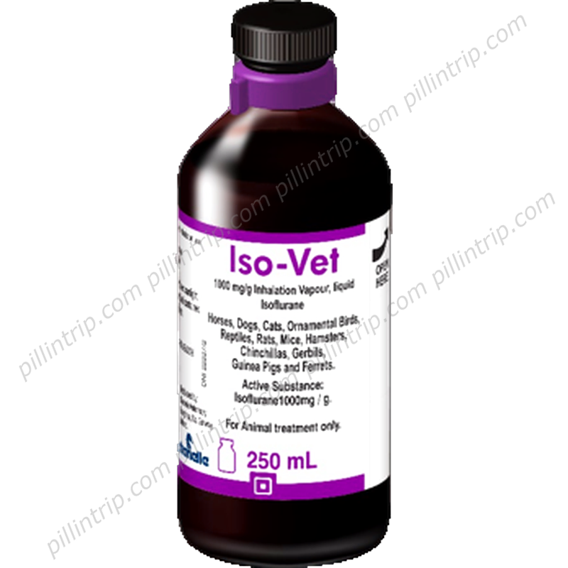 Iso-Vet Isoflurane : Uses, Side Effects, Interactions, Dosage / Pillintrip