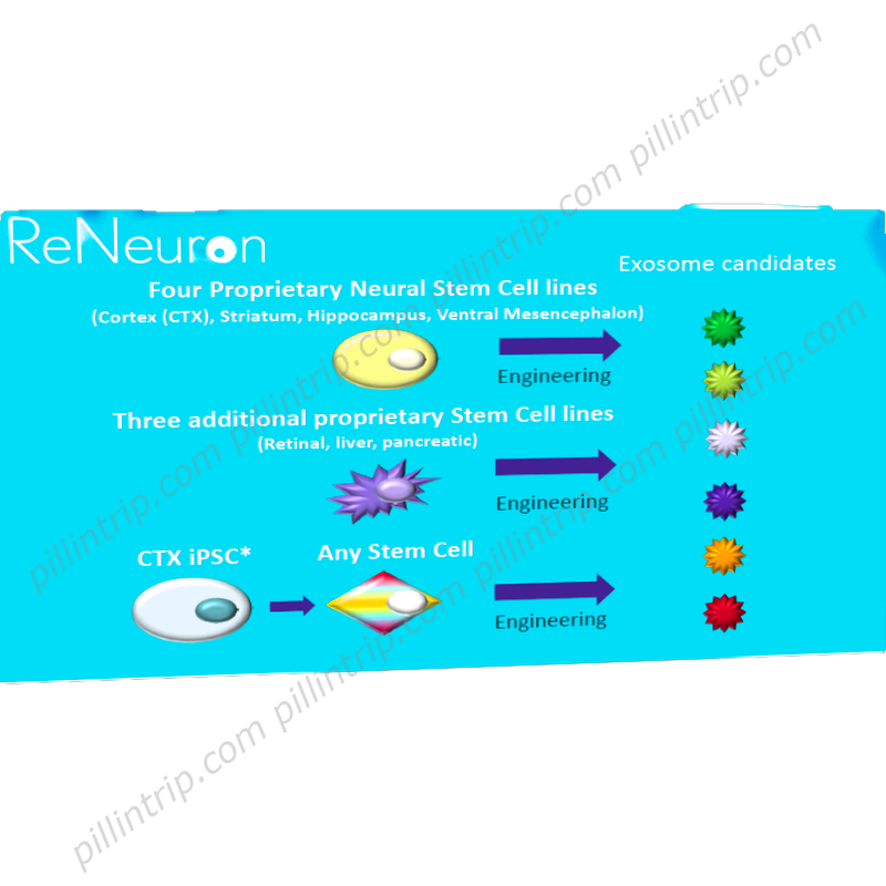 Reneuron : Uses, Side Effects, Interactions, Dosage / Pillintrip